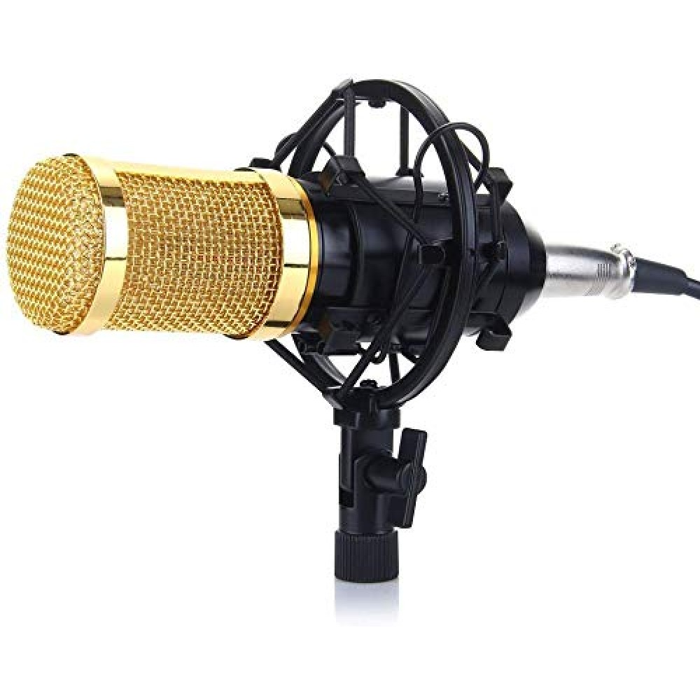 Powerpak BM-800 Professional Condenser Microphone Kit